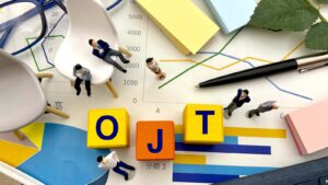 OJT：実践を通じた能力育成｜人事の窓口